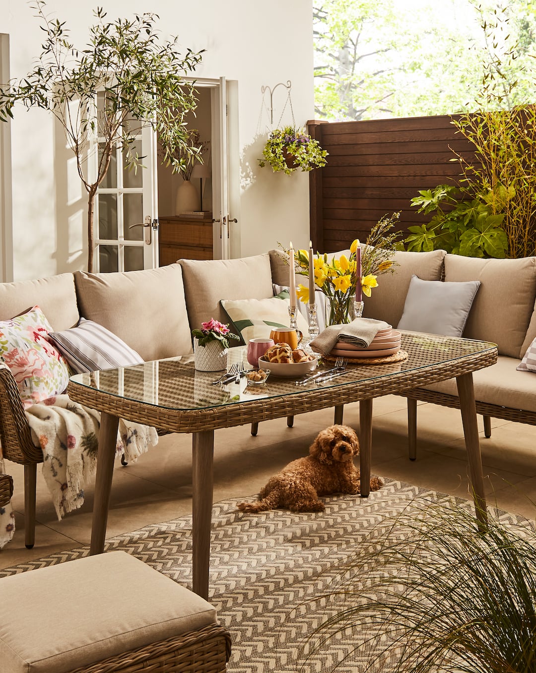 Ambrose Wilson | The ladies' clothing catalogue in sizes 12-34 and up ...