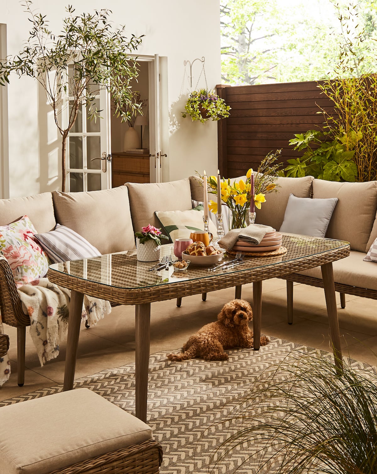 Ambrose Wilson | The ladies' clothing catalogue in sizes 12-34 and up ...