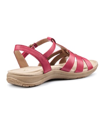 Hotter Rainer Wide Fit Sandal | Ambrose Wilson